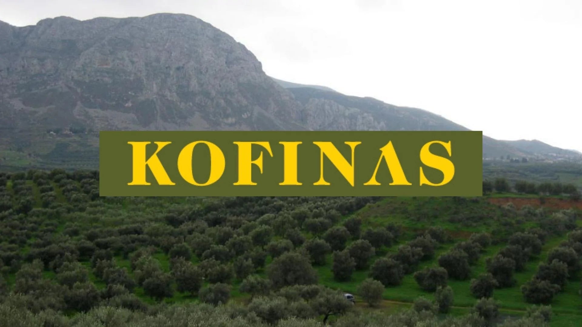 Kofinas Olive Oil