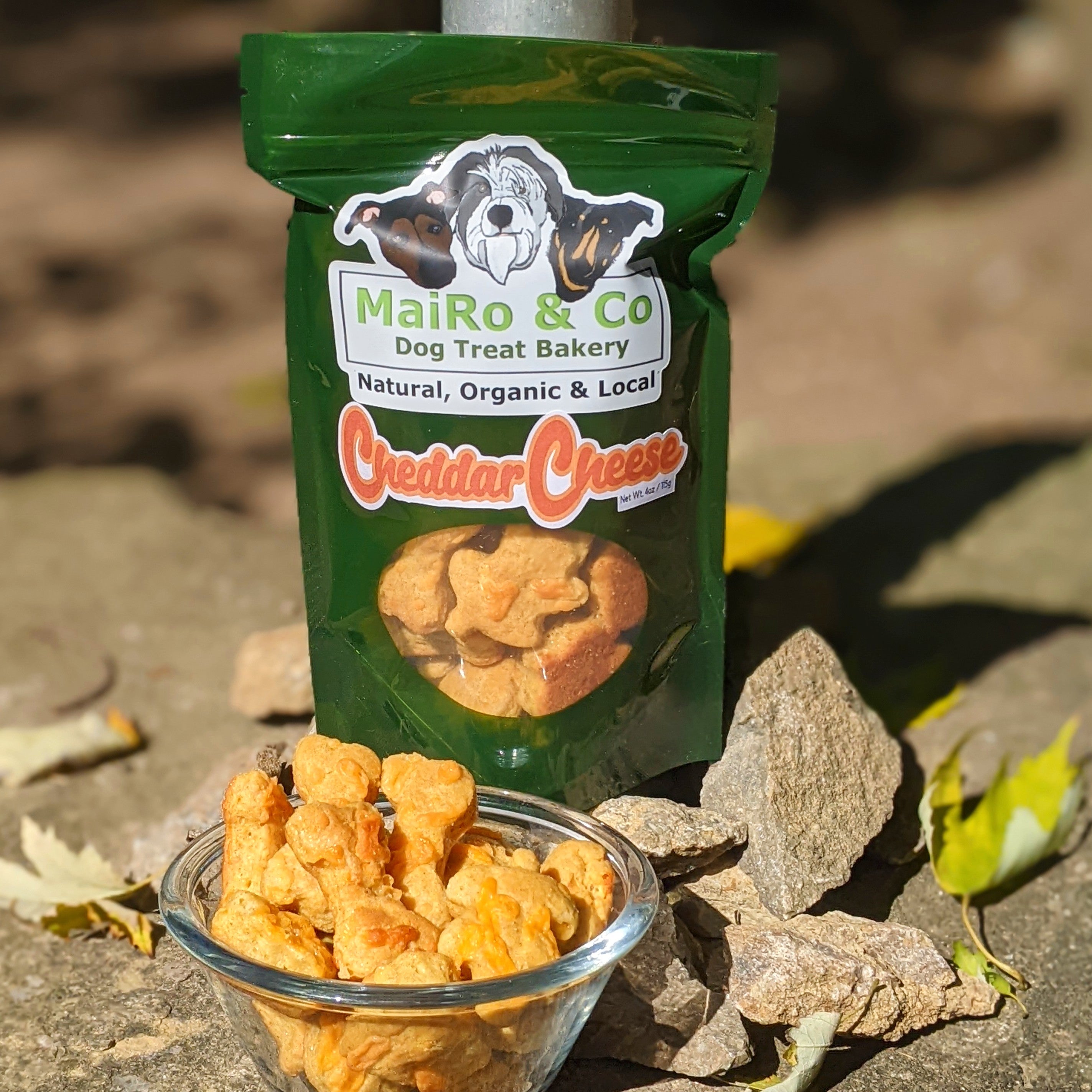 Cheddar Cheese Dog Treat