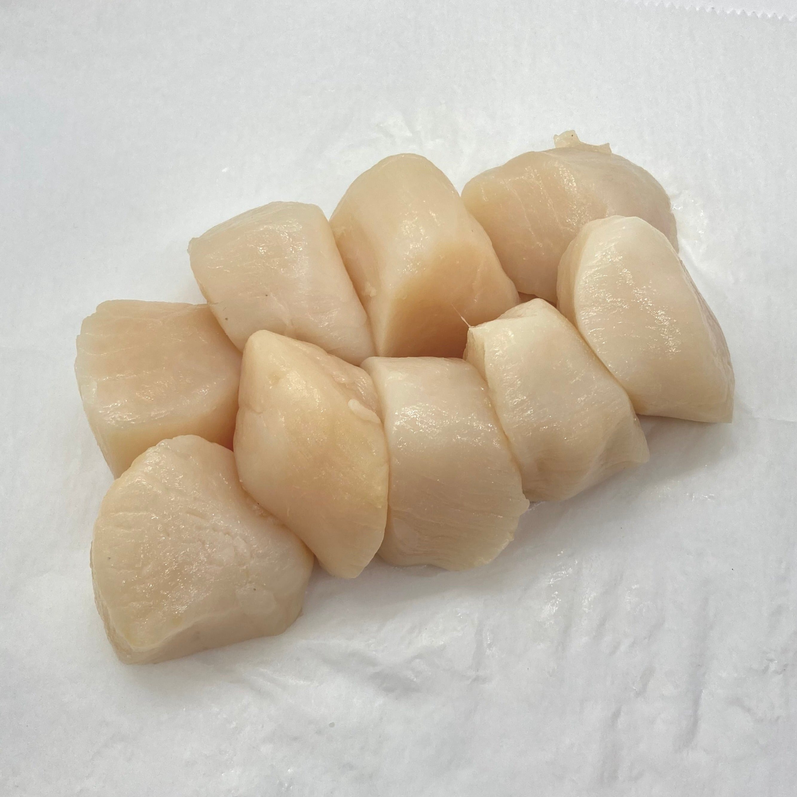 Jumbo U8 Scallops